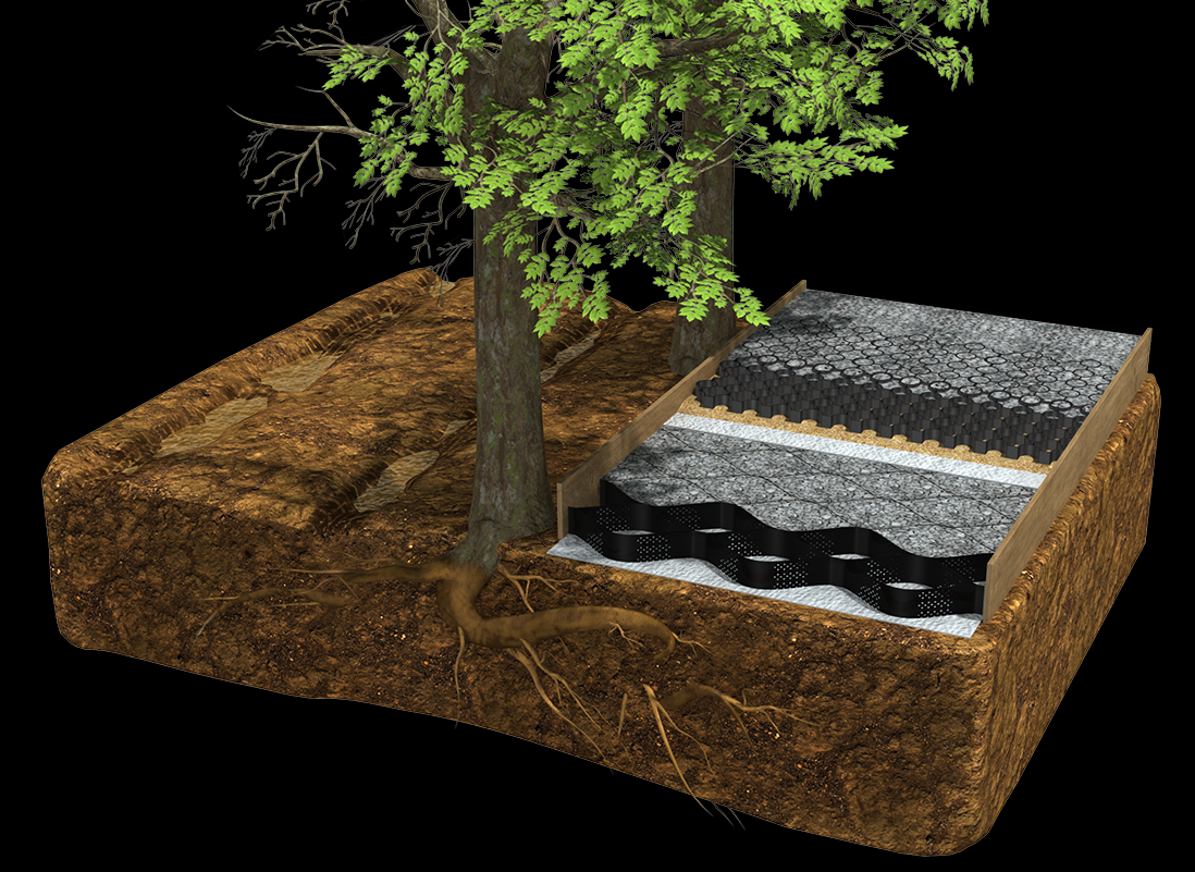 Geocell tree root protection: Urban pavement projects